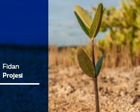 İnsani Yardım Derneği | Kardeş Eli